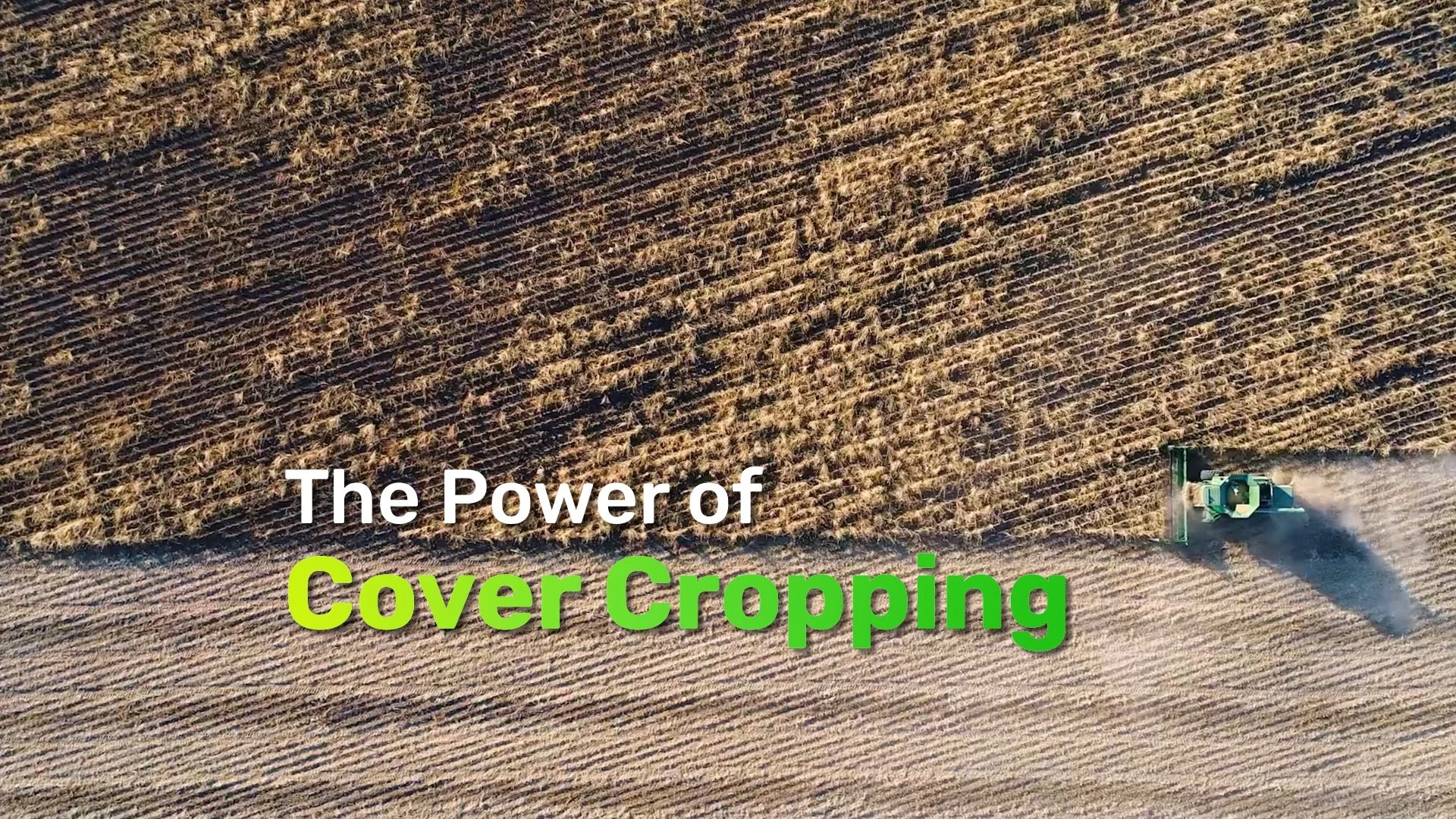 The Power of Cover Cropping — PostHarvest Technologies