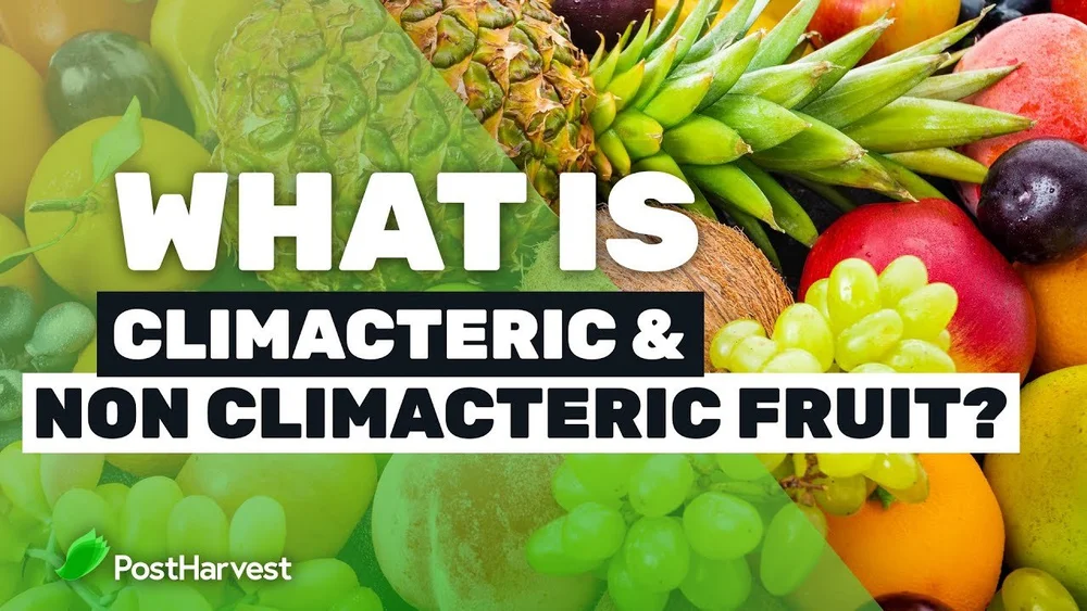 What is Climacteric and Non-Climacteric Fruit? — PostHarvest Technologies