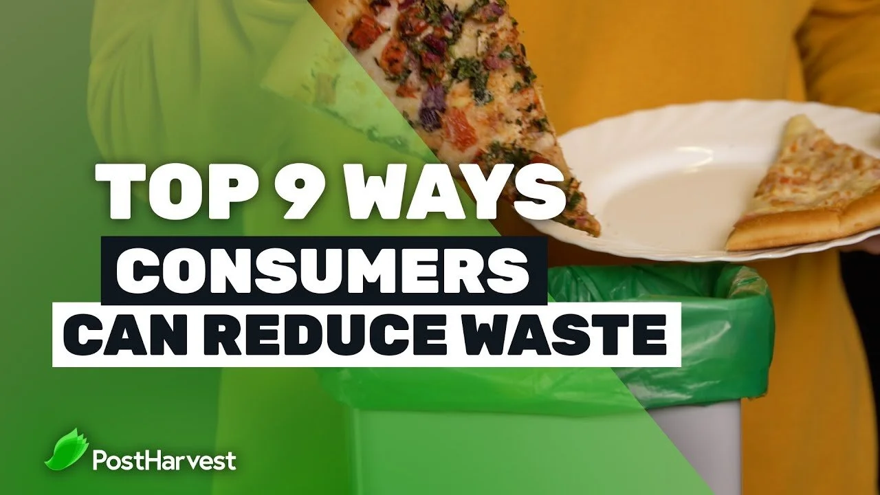 How Can Consumers Reduce Food Waste? (9 tips) — PostHarvest Technologies