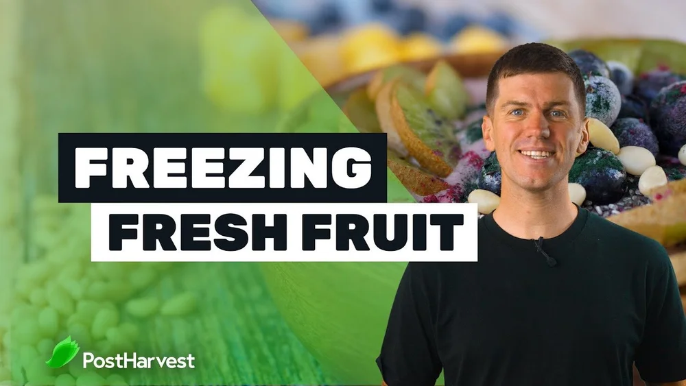How to Freeze Fresh Fruits to Extend their Shelf Life — PostHarvest ...