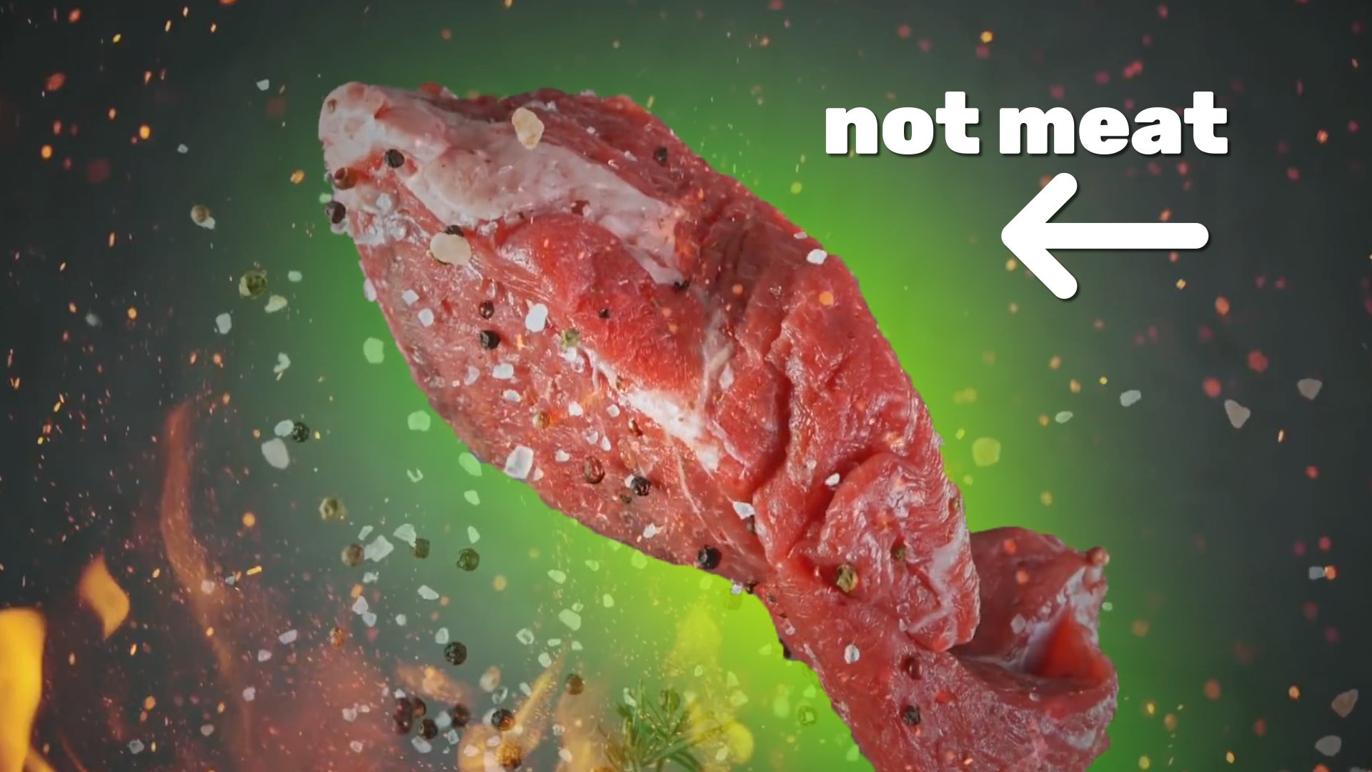 The Future of Meat Alternatives — PostHarvest Technologies