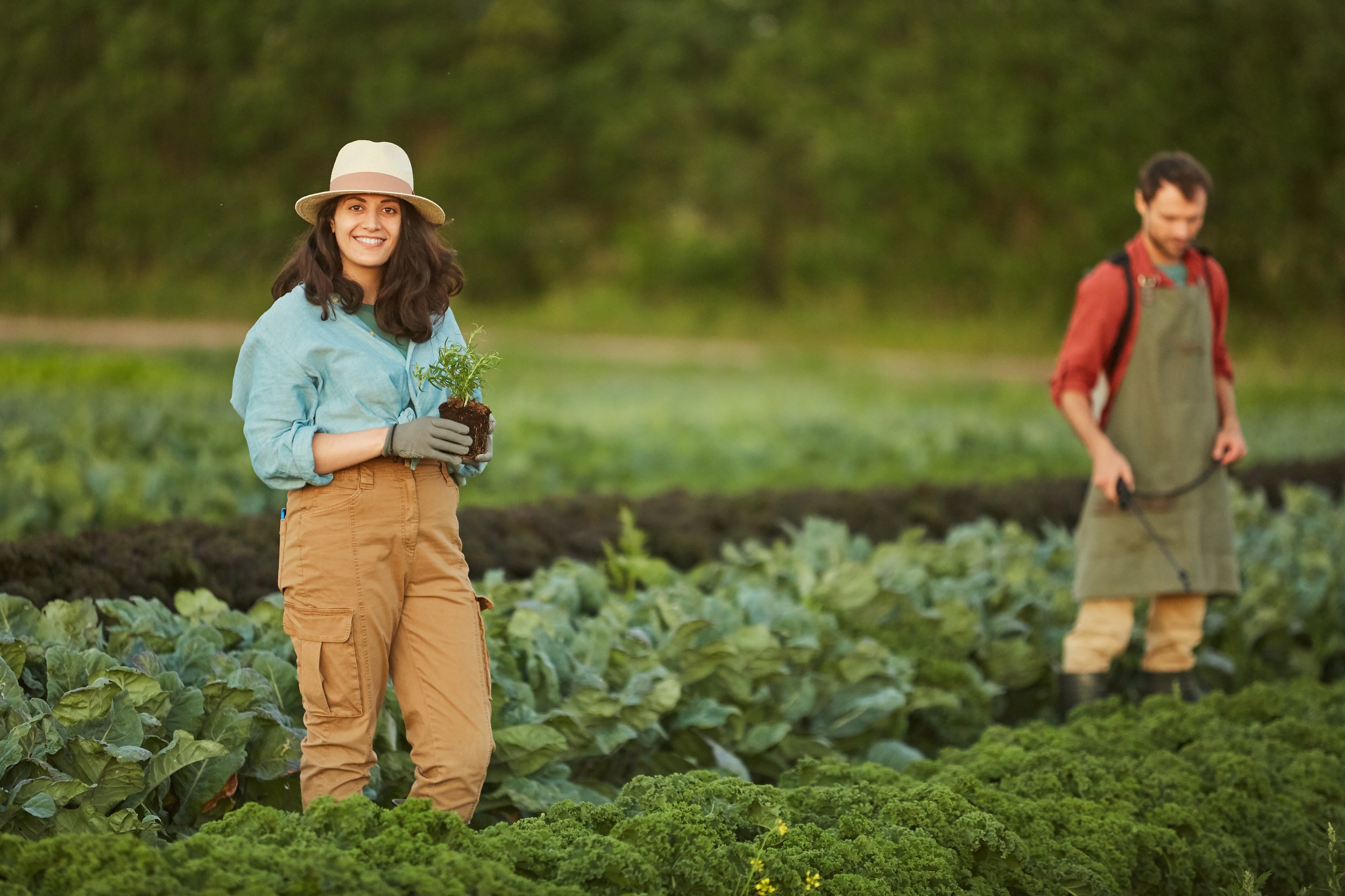 The Growth of Organic Farming in Australia — PostHarvest Technologies