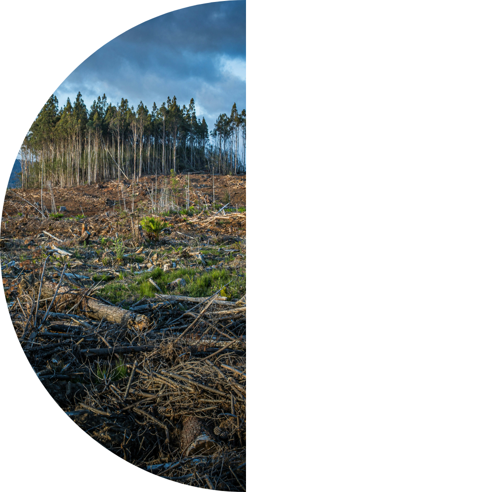 Climate Integrity: Closing the corporate climate integrity gap