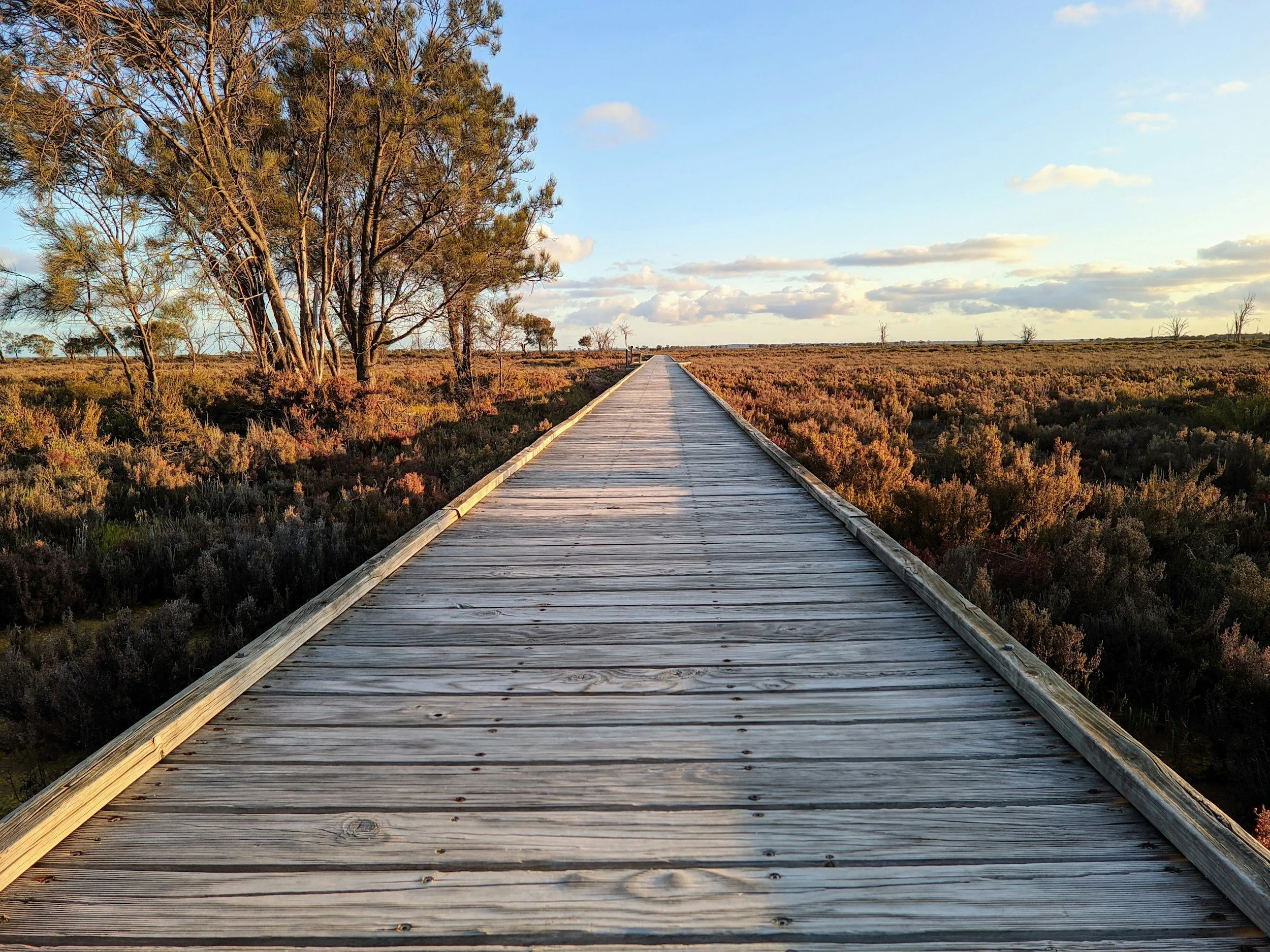 Climate Integrity: Closing the corporate climate integrity gap