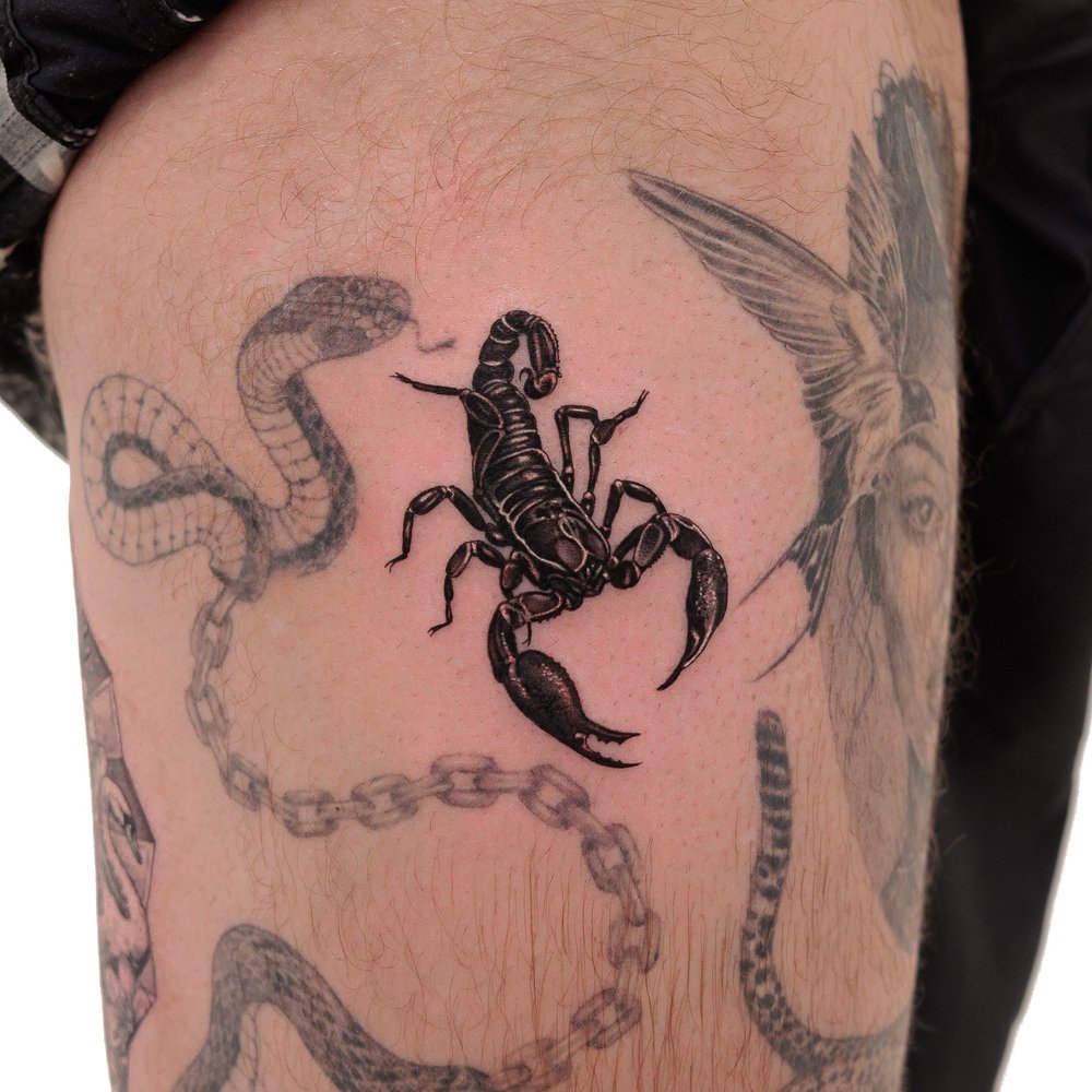 Lozza Rach — AQUATICA TATTOO