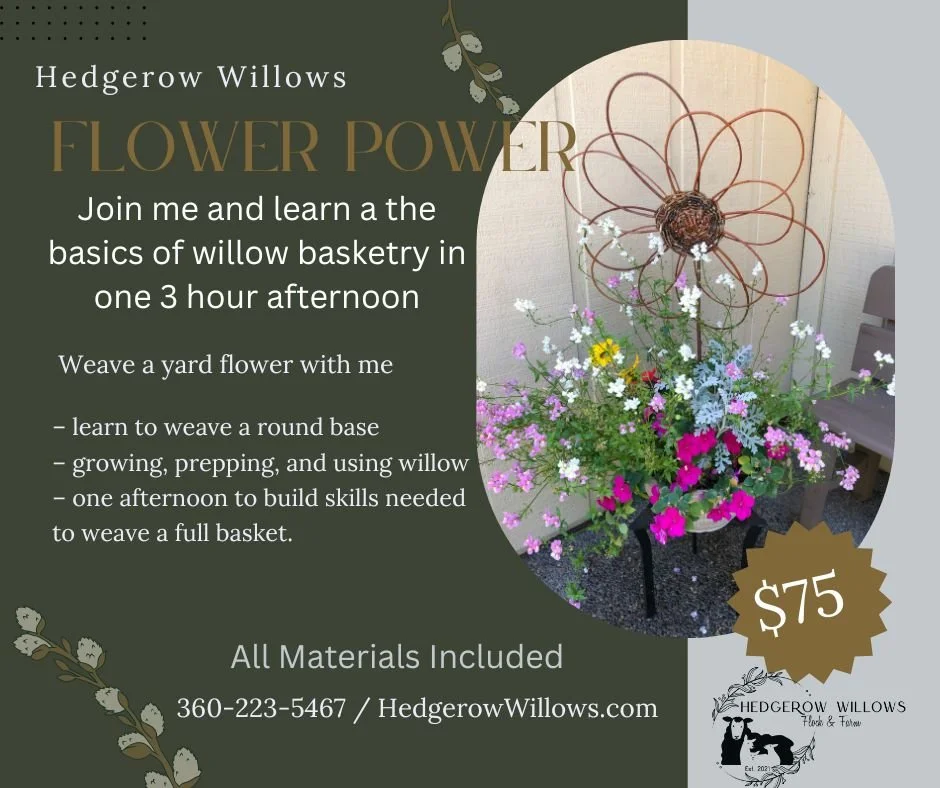 Hedgerow Willows- basketry willow weaving rods for basket weavers ...