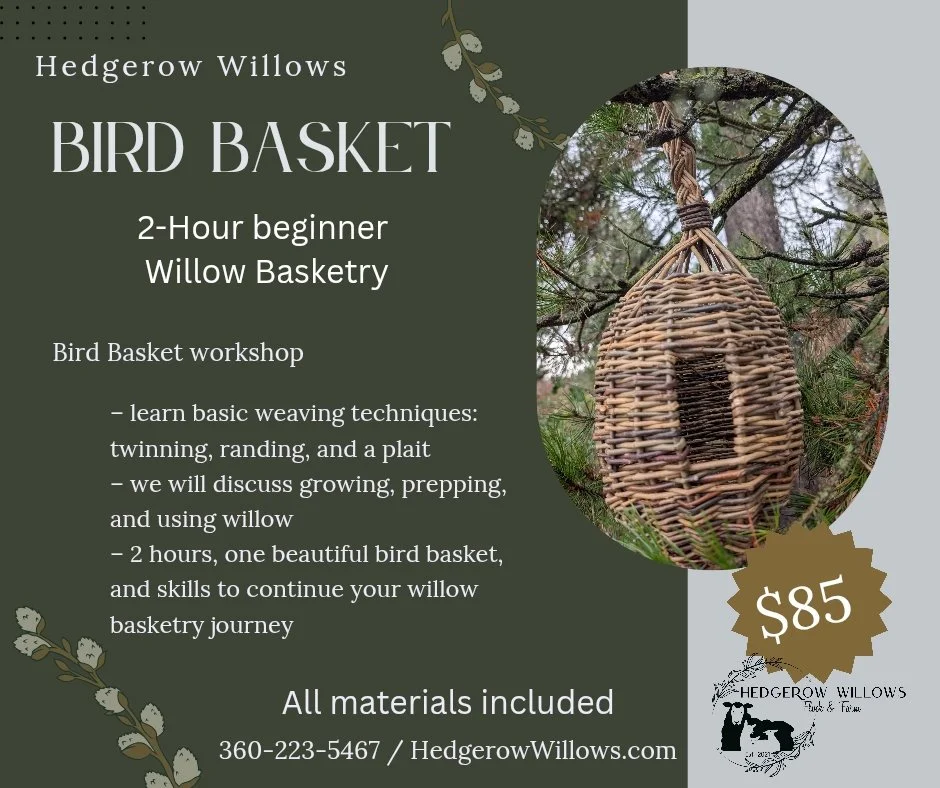 Hedgerow Willows- basketry willow weaving rods for basket weavers ...