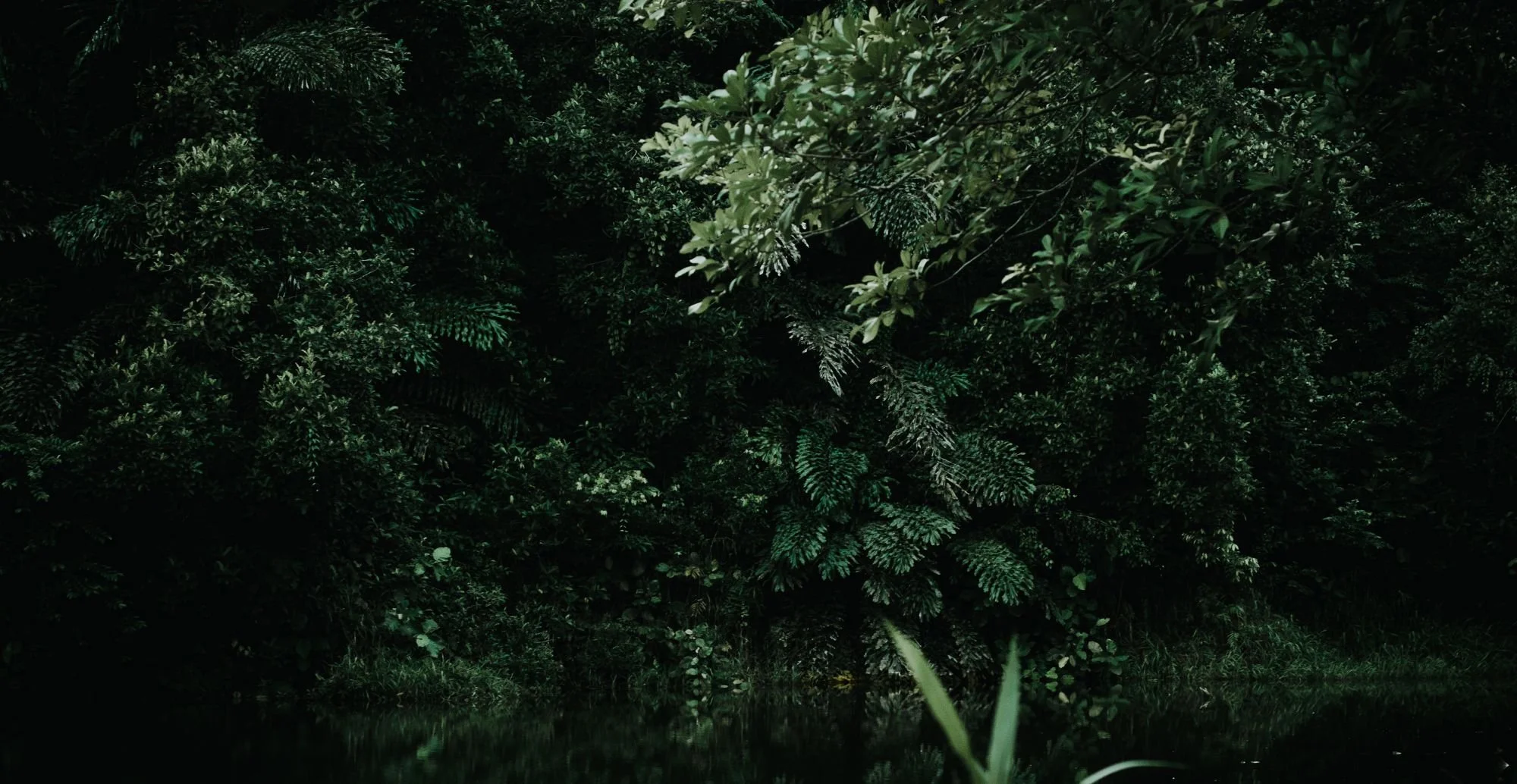 Blog — Danielle Kent Birth and Photography