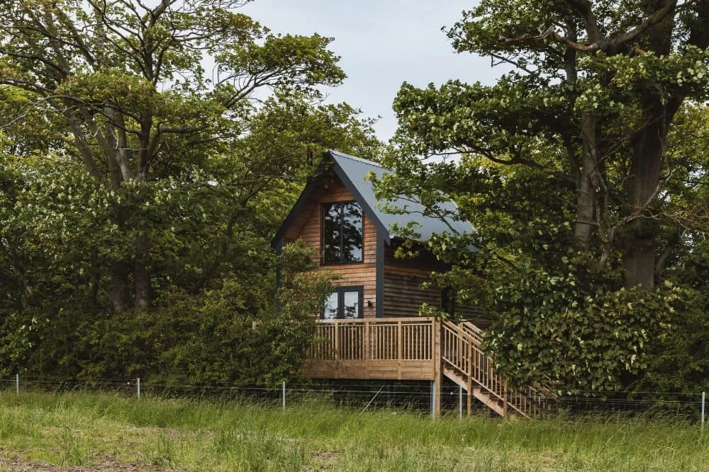 Madeira in Fife — Acorn Writing Retreats