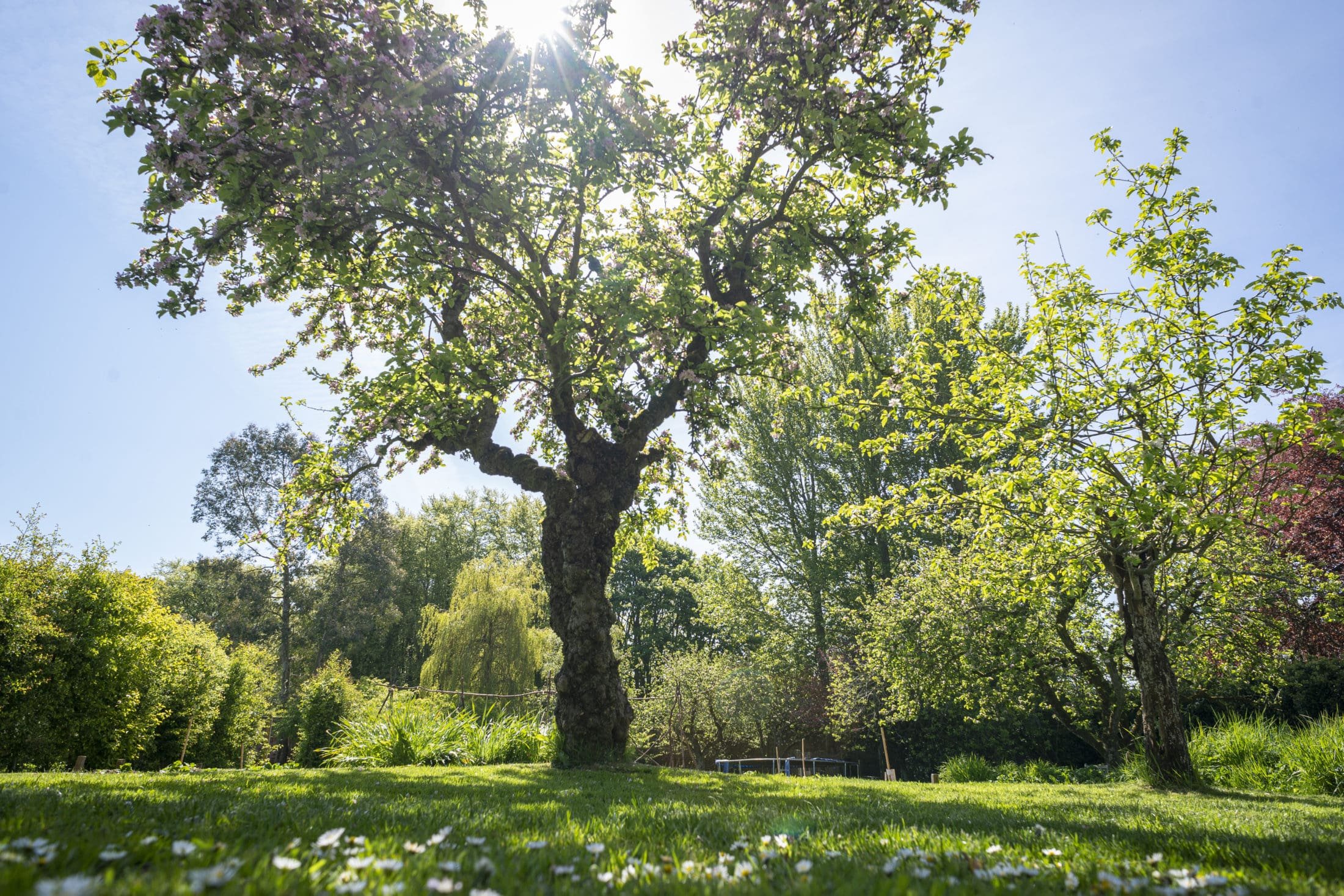 Madeira in Fife — Acorn Writing Retreats