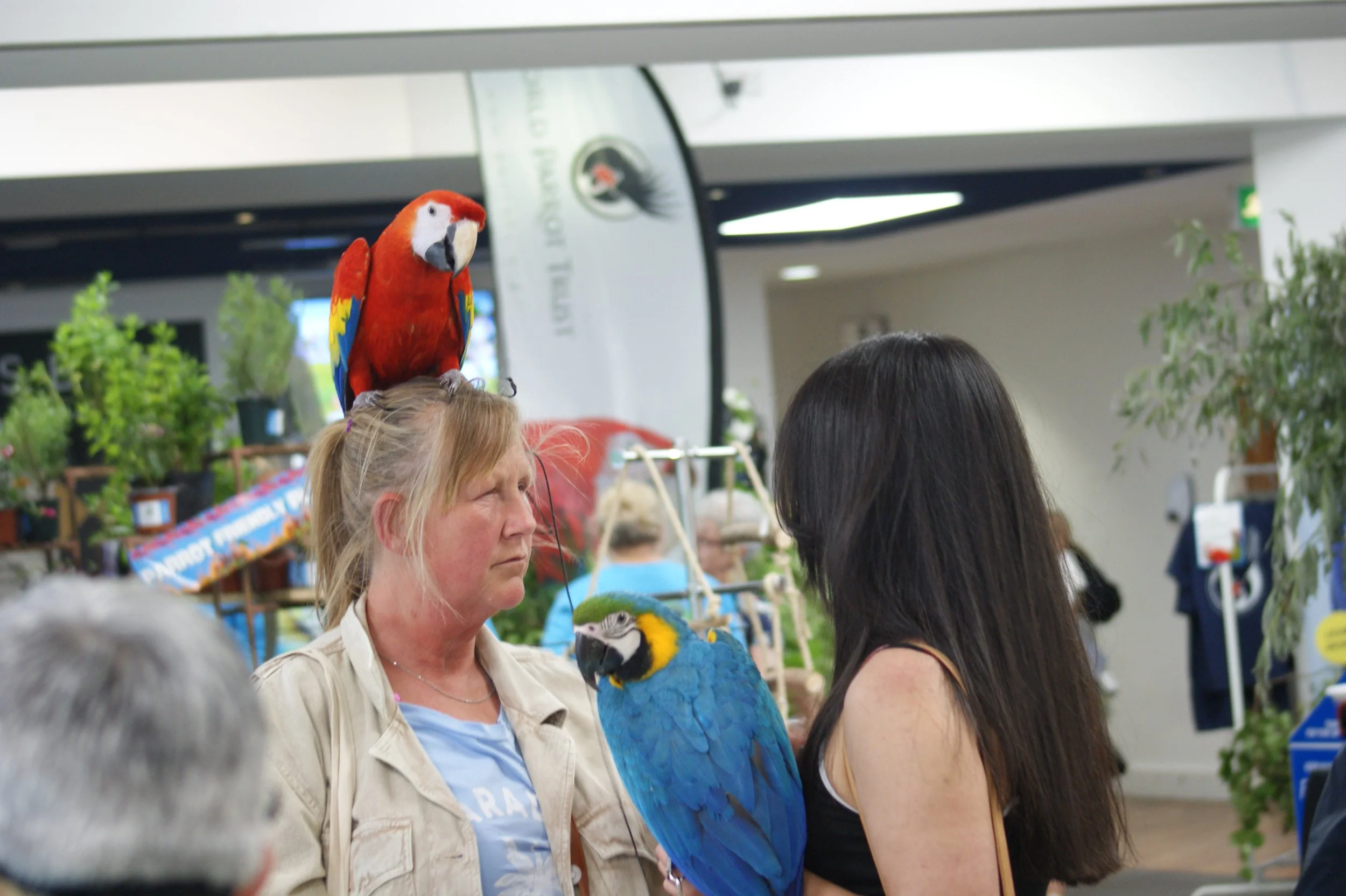 Think Parrots Show