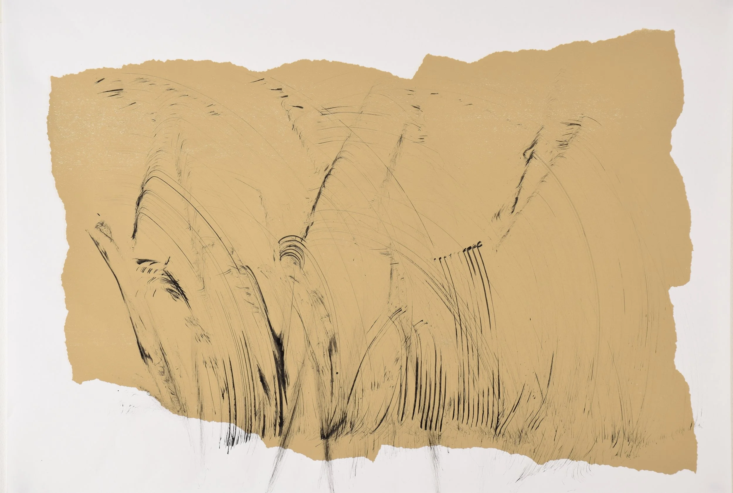 carol baines fine art