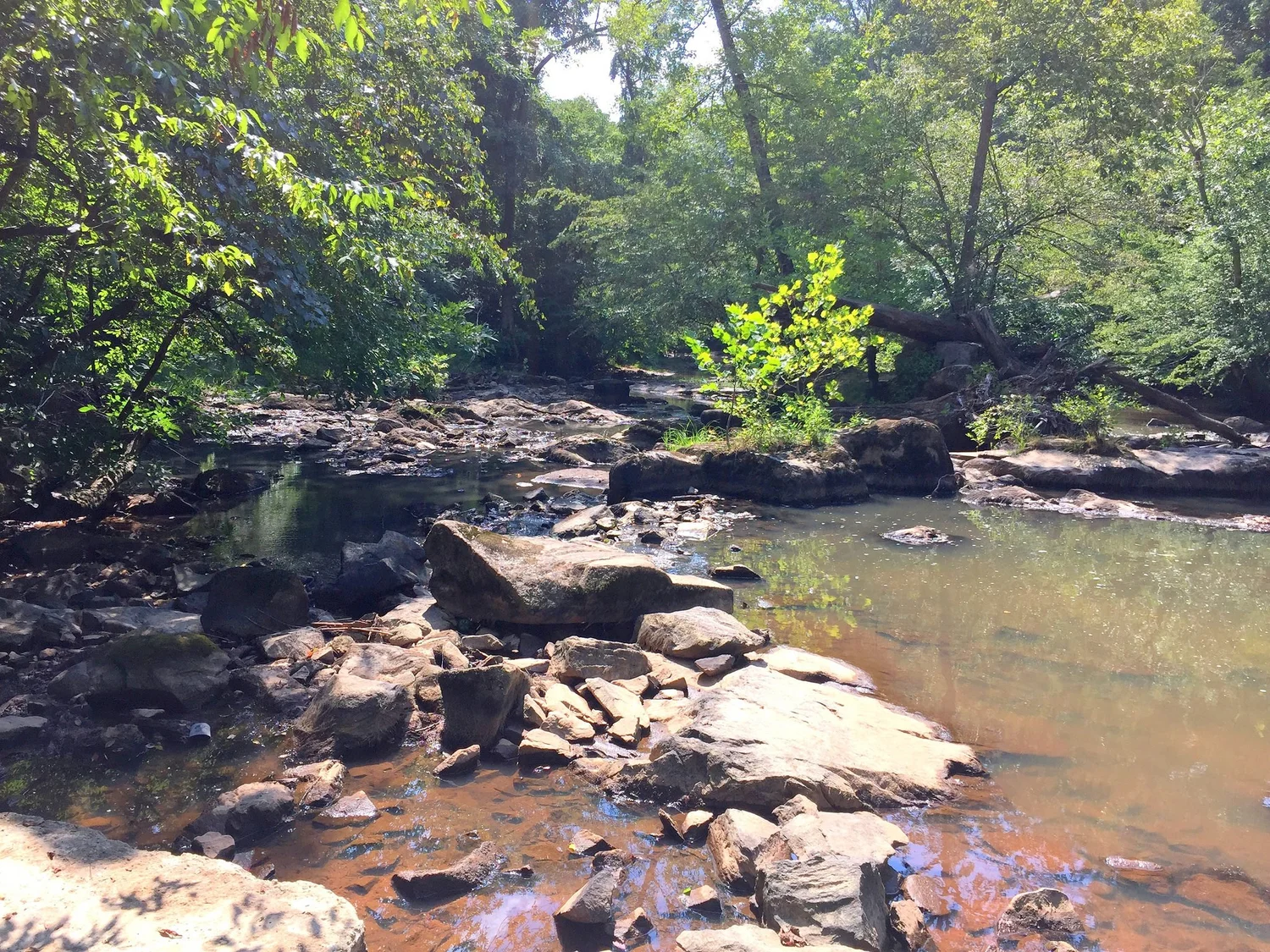 General 5 — Haw River Trail
