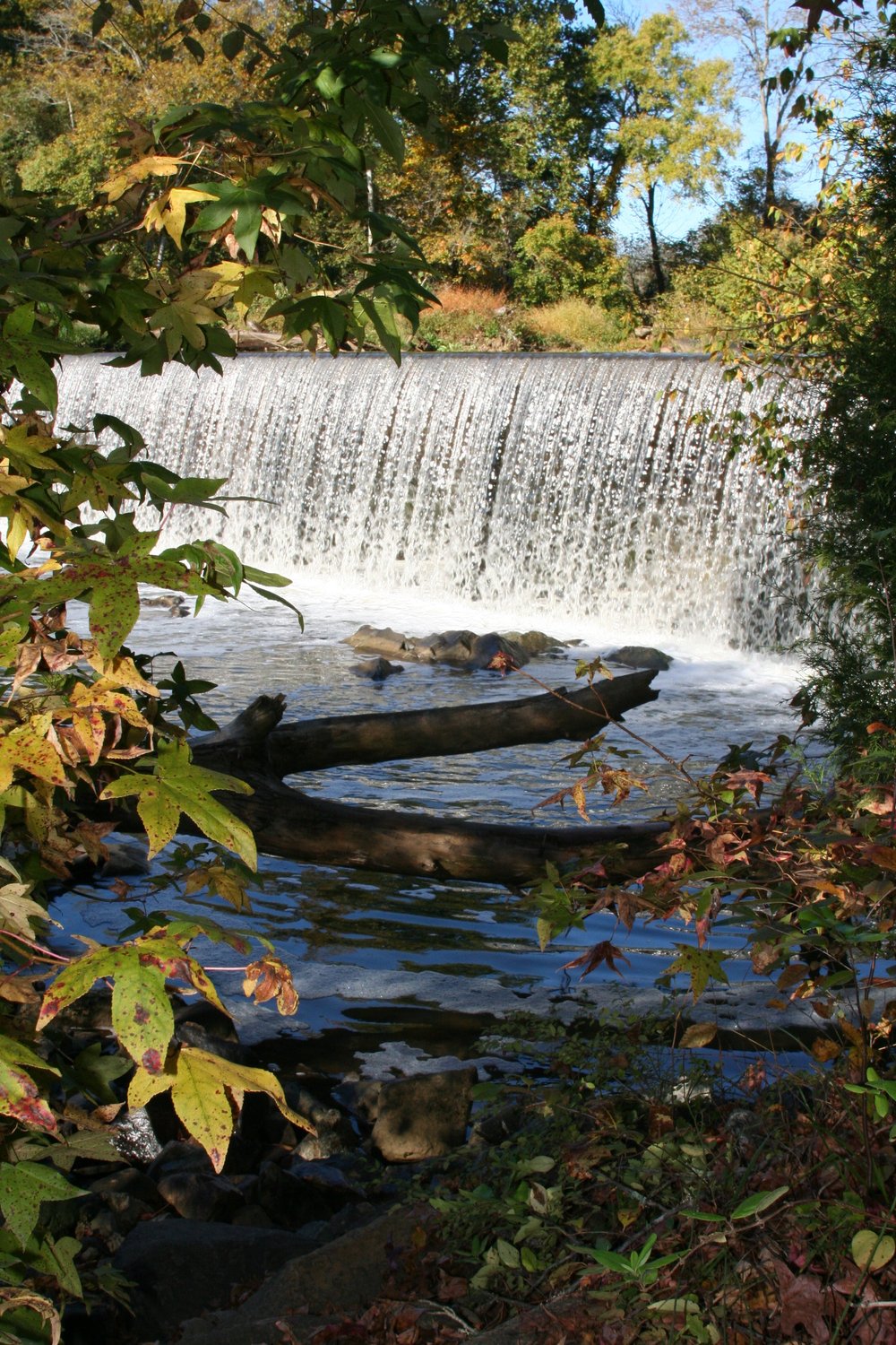 General 6 — Haw River Trail