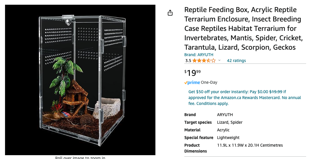 Discover the Perfect Terrarium Setup for Your Jumping Spider — Jumping ...
