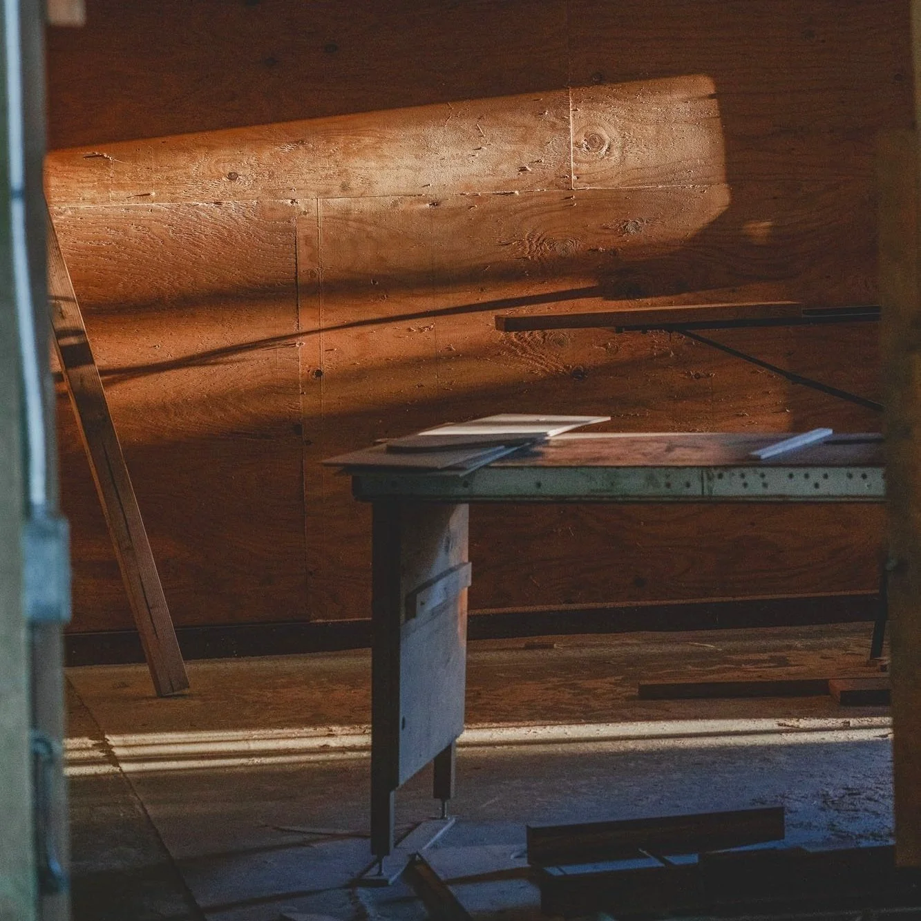Our Story — Gnarly Old Tree Studio