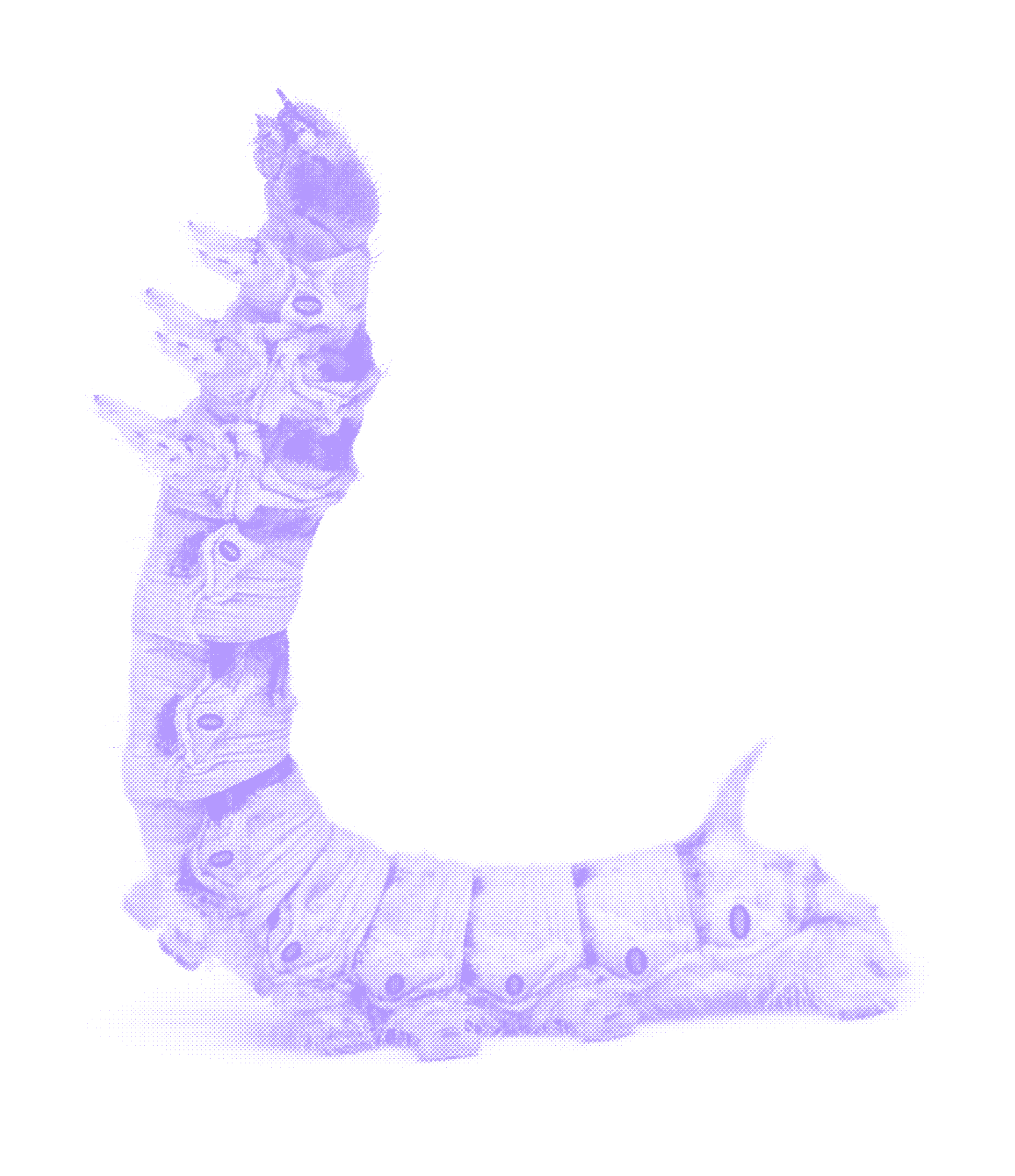 About Us — Barrett Lab