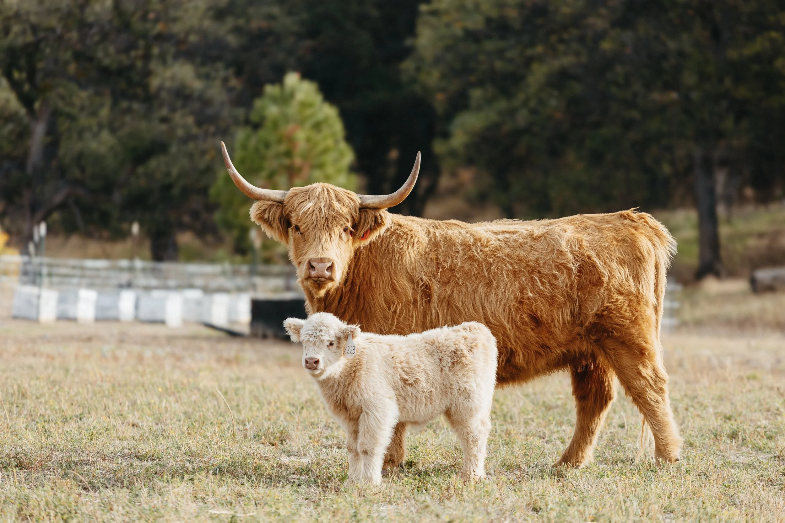 StarWalker Organic Farms