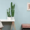 Western Therapy Office Decor — Rivercourse Counseling