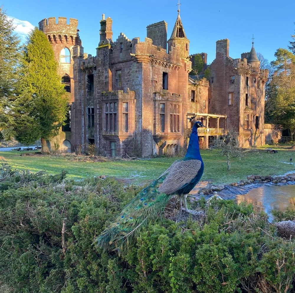 Culdees Castle Estate | Glamping & Wedding Events | Scotland