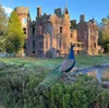 Culdees Castle Estate | Glamping & Wedding Events | Scotland