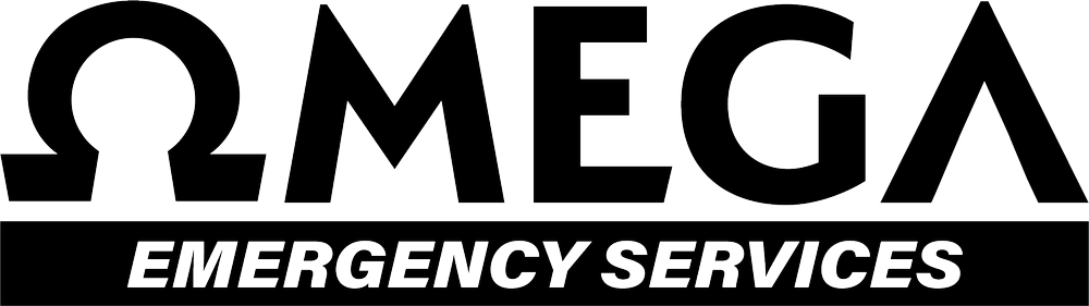 Omega Car & Truck Accessories - Custom Auto Shop in Arkansas