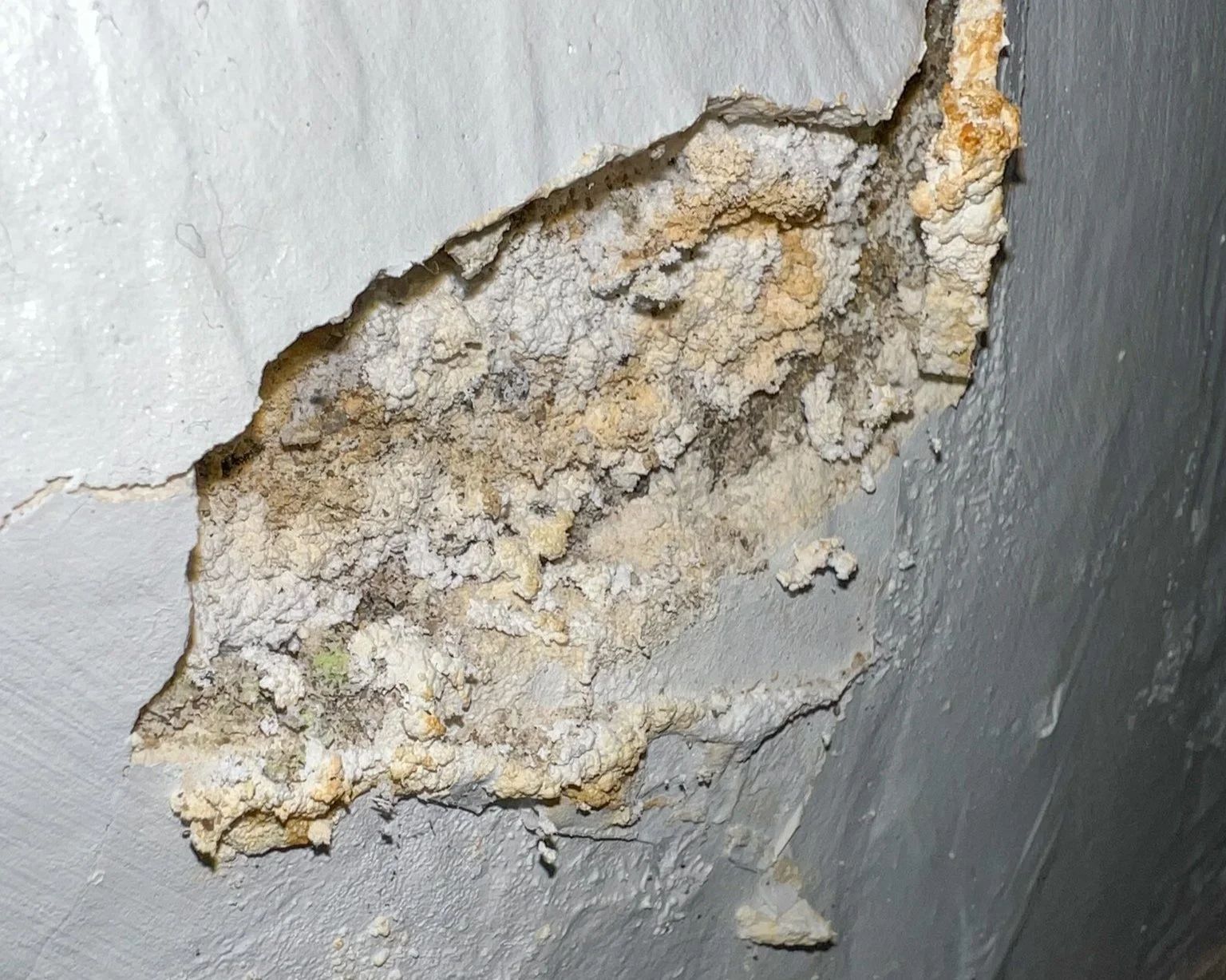 Understanding Efflorescence: Causes, Effects, and Prevention — Enviro ...