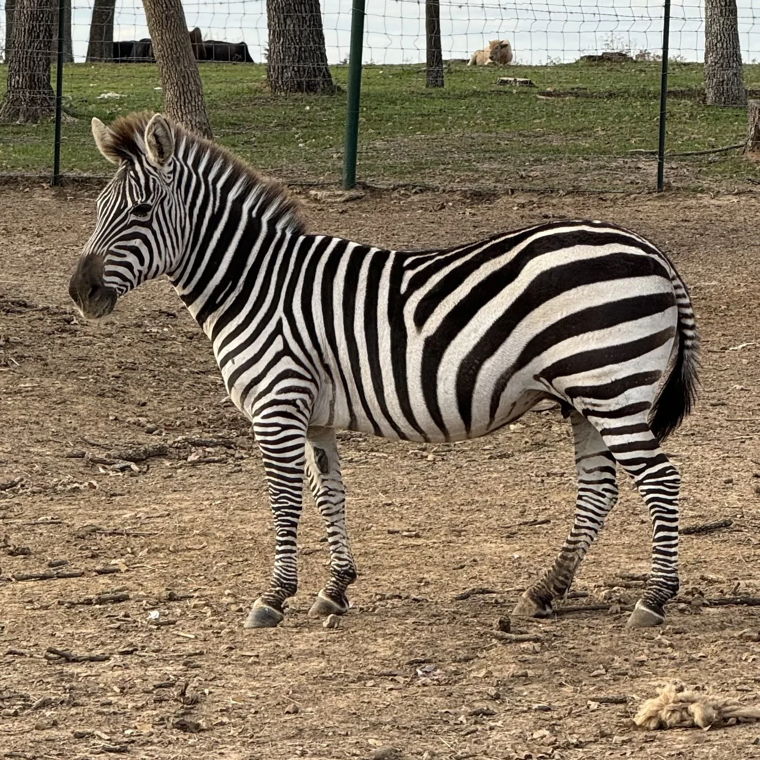 BENDA RANCH - Eureka, TX
