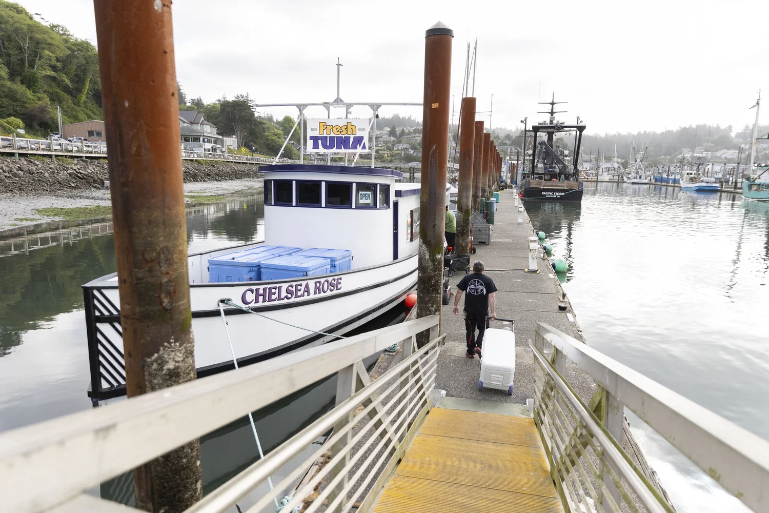Buying on the docks — Oregon Albacore Commission
