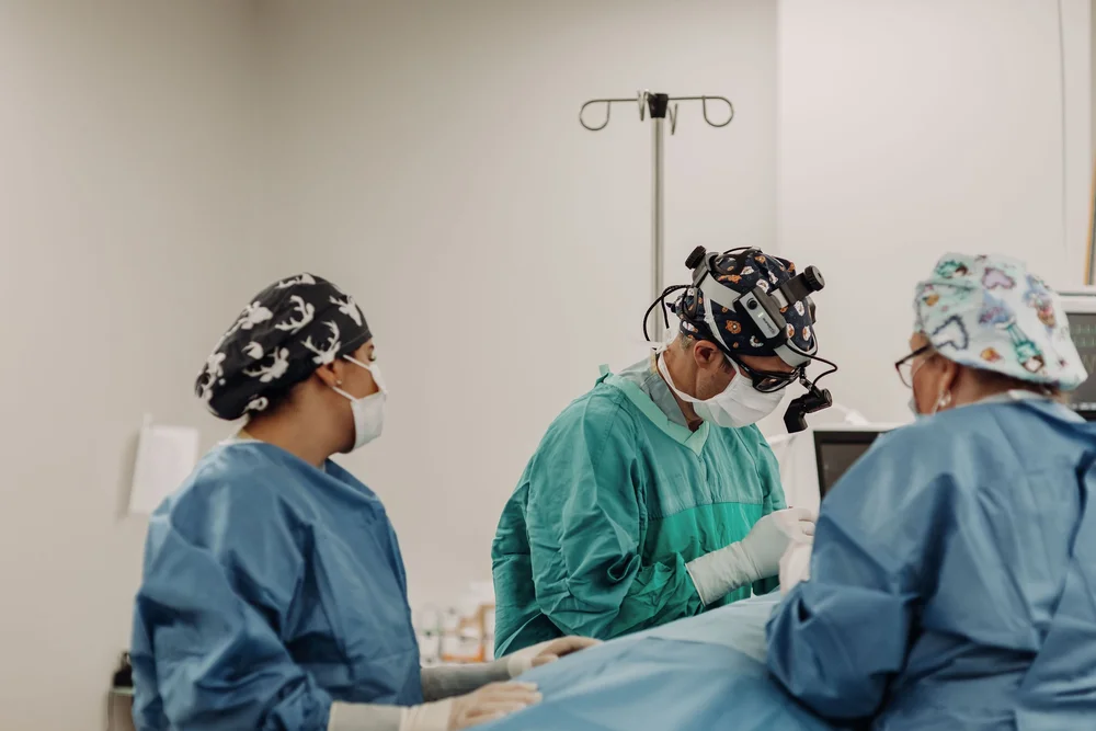 Trusted Plastic Surgeon in London, Ontario | London Plastic Surgery