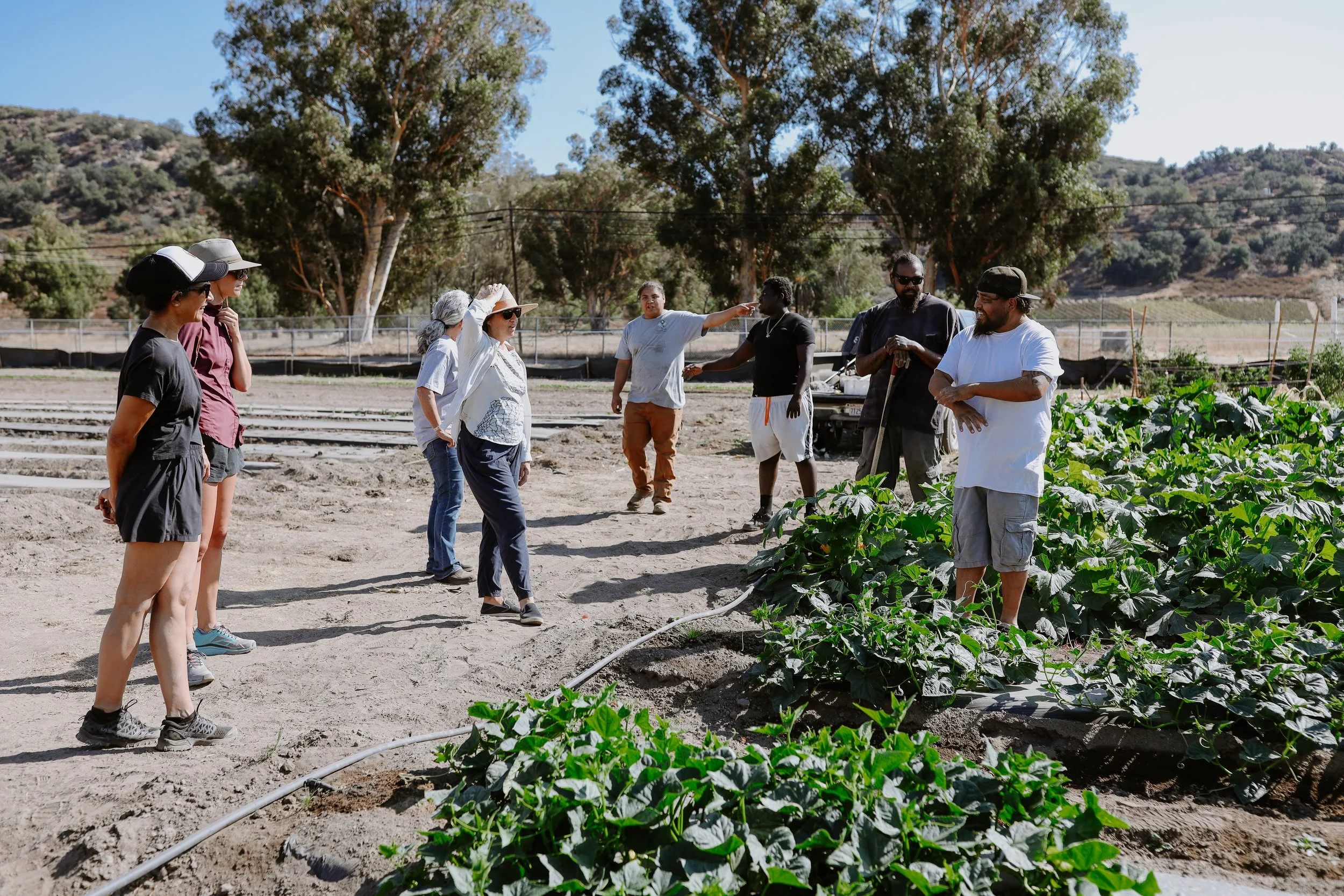 San Diego County Food Vision 2030 — San Diego Food System Alliance