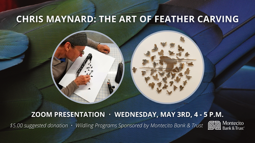 May 3rd | Chris Maynard: The Art of Feather Carving — California Nature ...