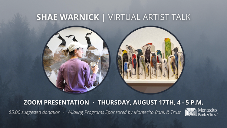 August 17th | Shae Warnick Virtual Artist Talk — California Nature Art ...
