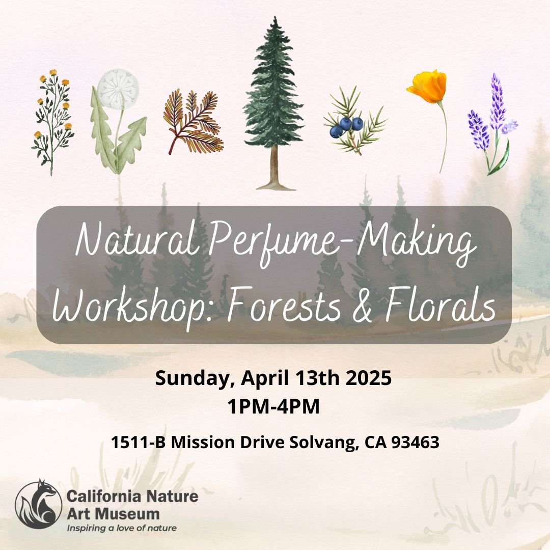 April 13th | Adult Art Workshop - Natural Perfume-Making: Forests ...