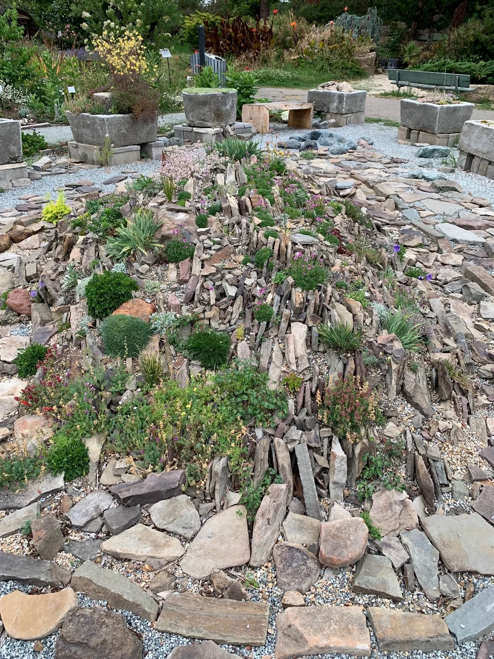 North American Rock Garden Society Western Chapter