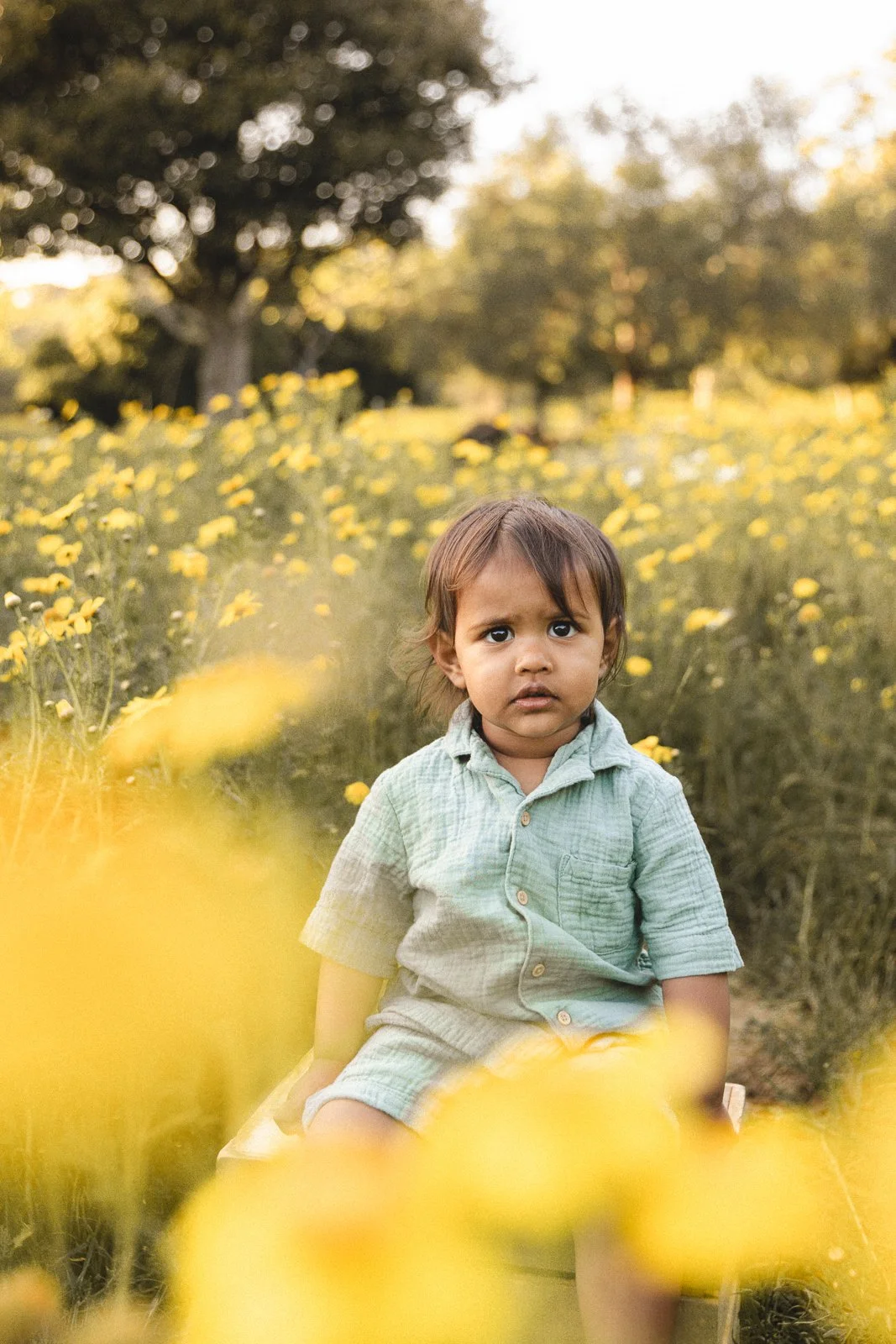 Frolicking Through Wildflower Fields: A Magical Family Photoshoot in ...