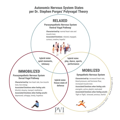 Understanding Overreactions Through Polyvagal Theory: A Path to ...