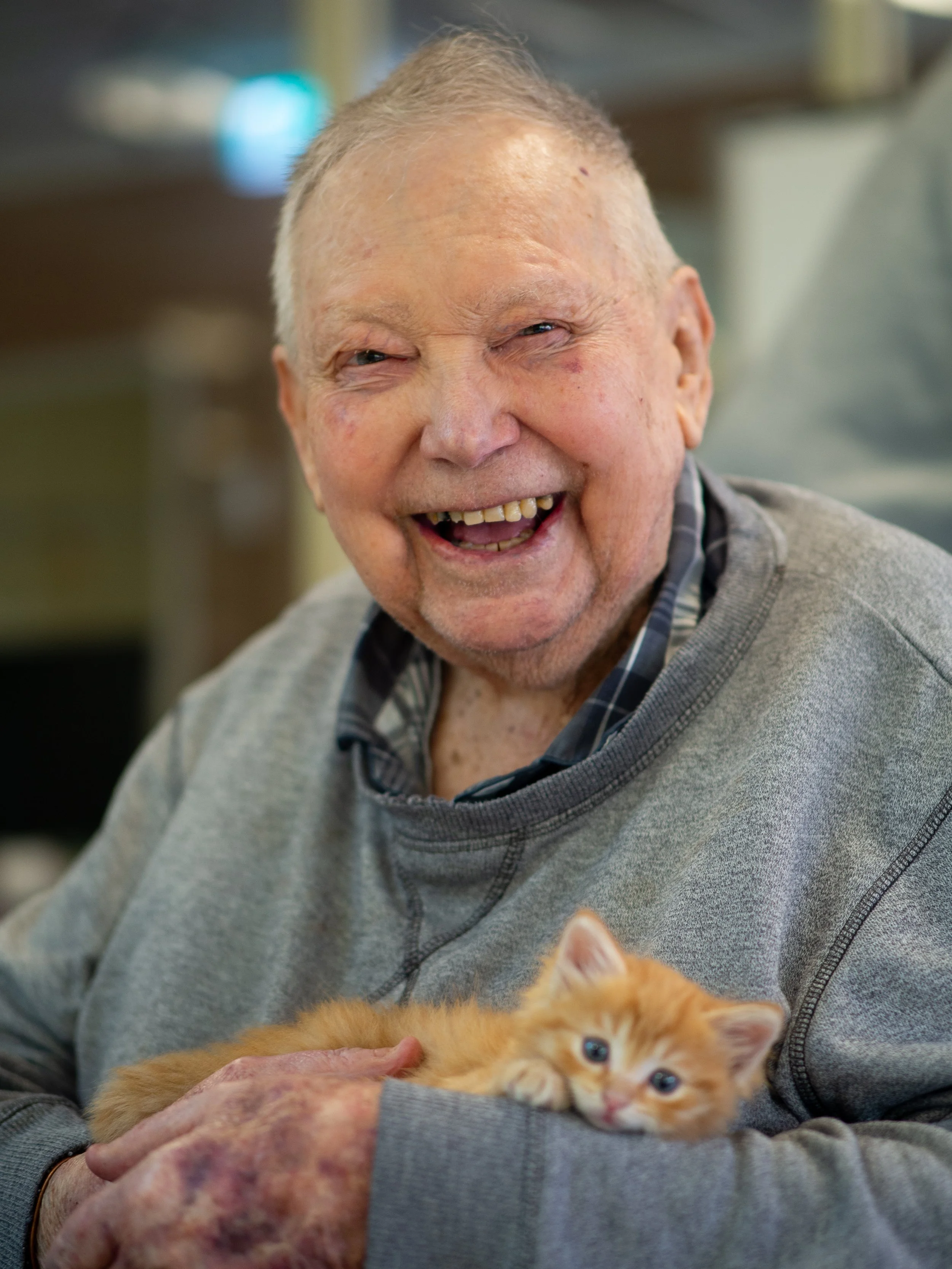 Murravale Retirement