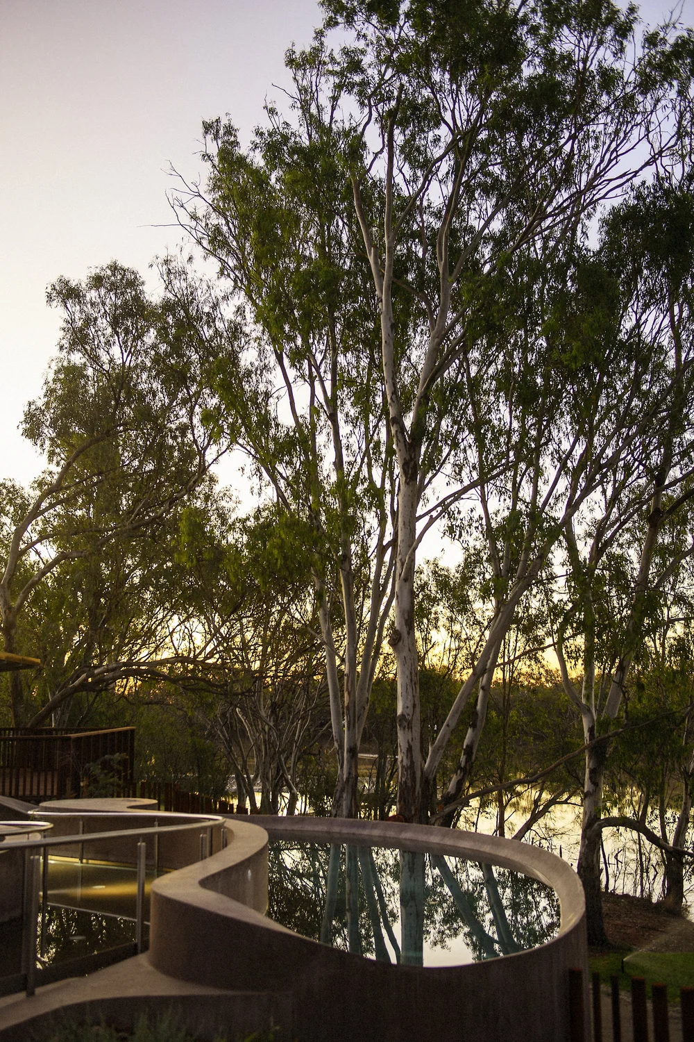 Cunnamulla Hot Springs | Discover Wellness Now