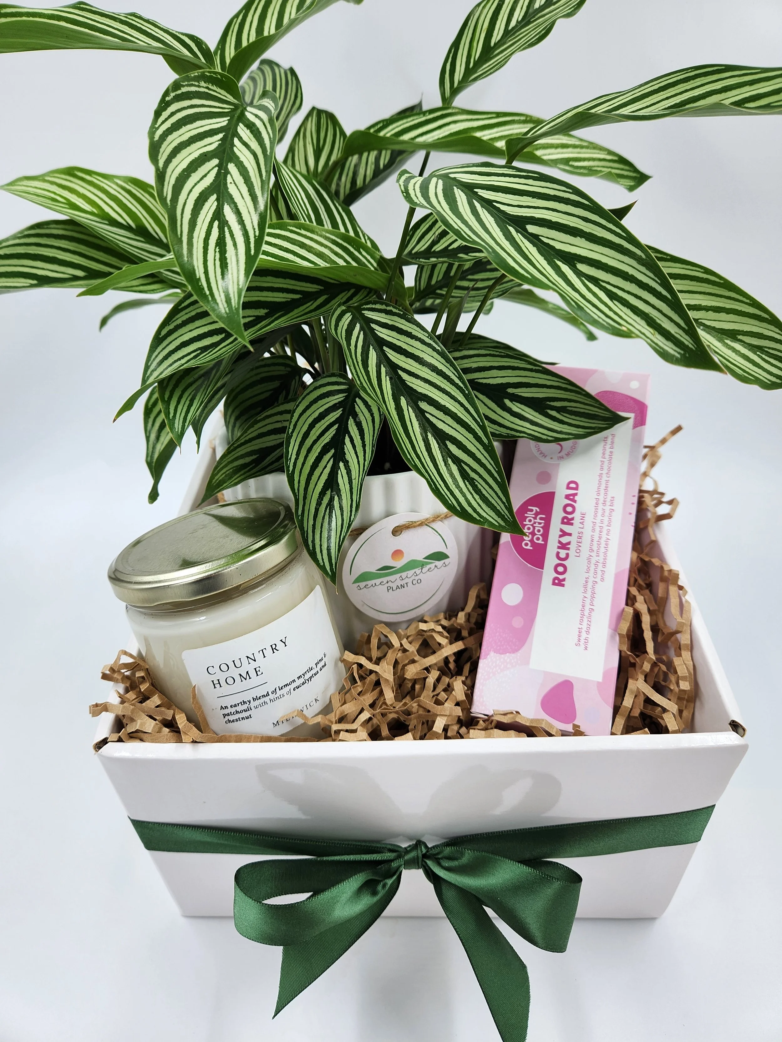 Plant, Candle & Chocolate Gift Hamper — Seven Sisters Plant Co