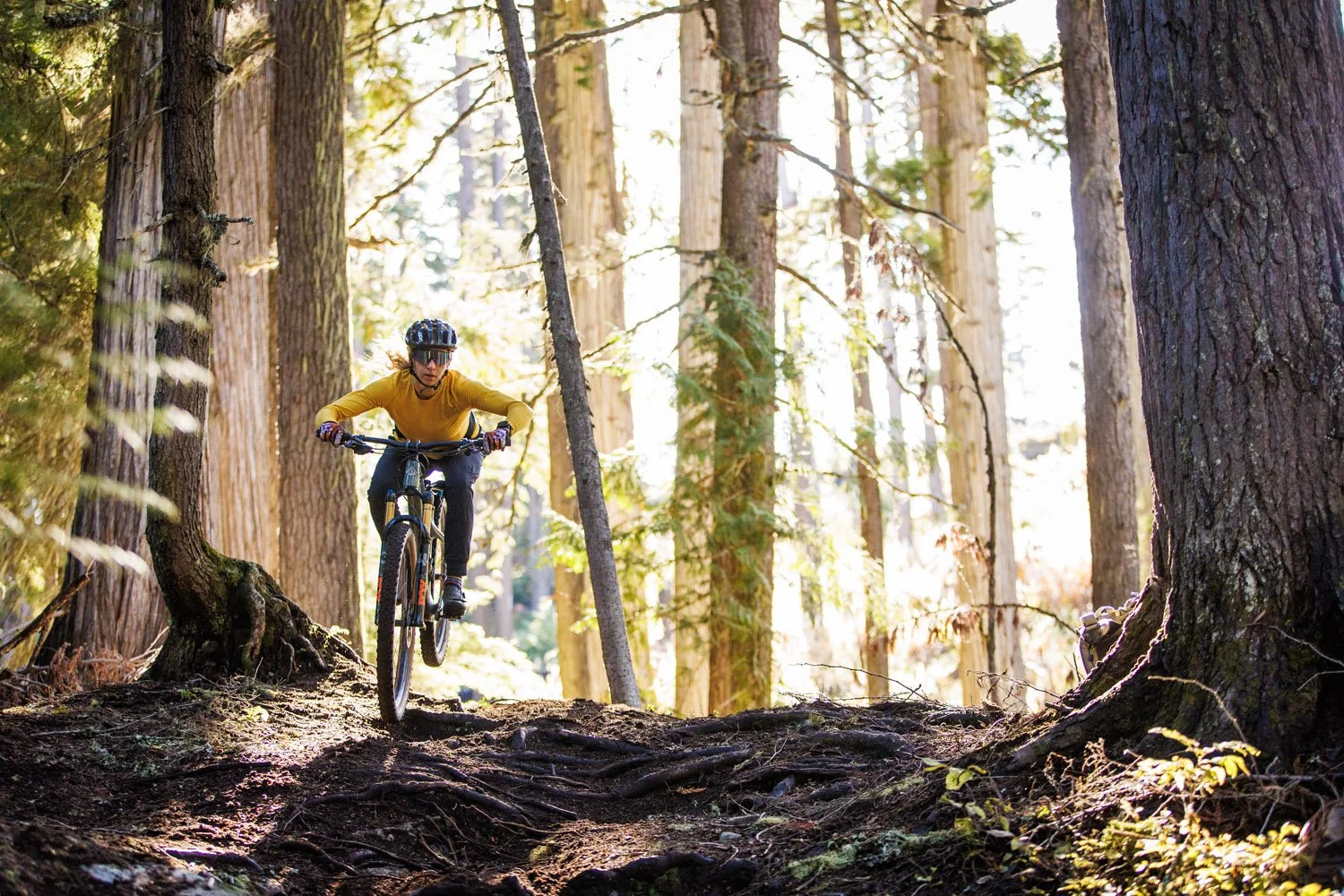 Acute Pain Management - Josh Lehman, Jenny Lehmann, and Kimberly ...