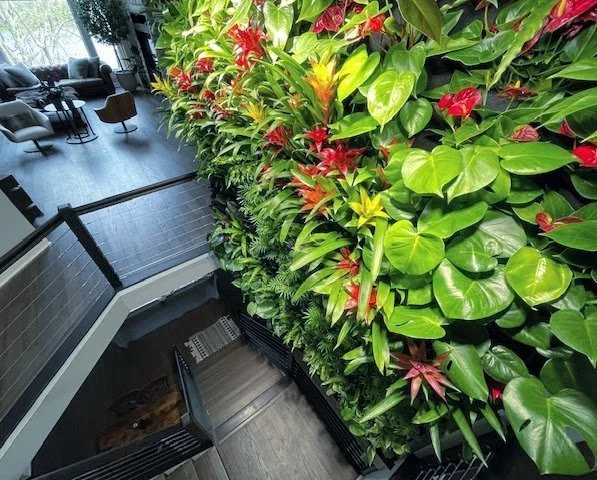 Green Street Design Builds a Tropical Paradise — Plants On Walls