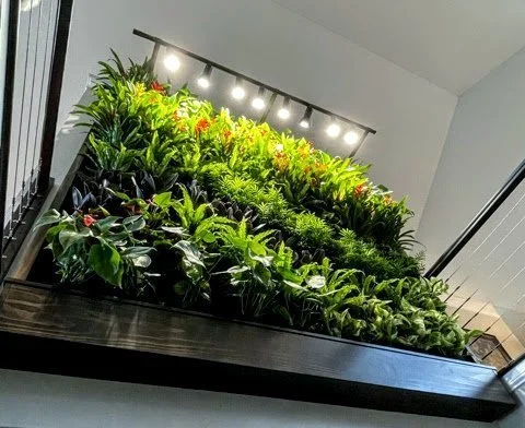 Green Street Design Builds a Tropical Paradise — Plants On Walls