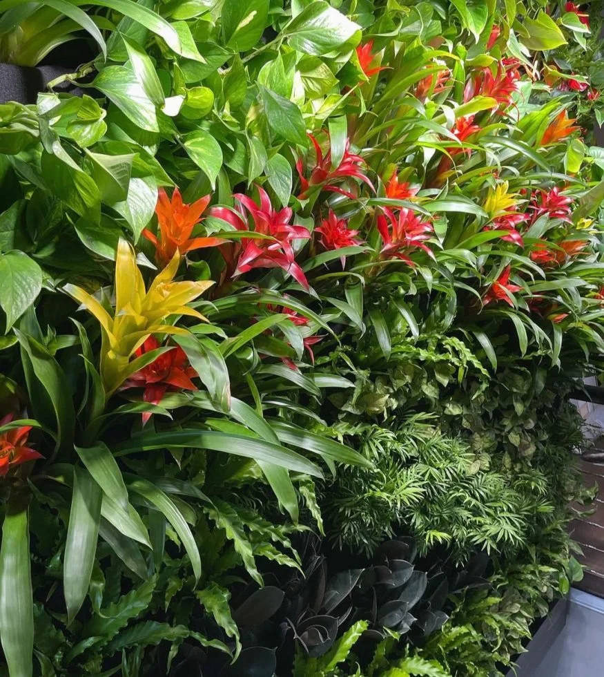 Green Street Design Builds a Tropical Paradise — Plants On Walls