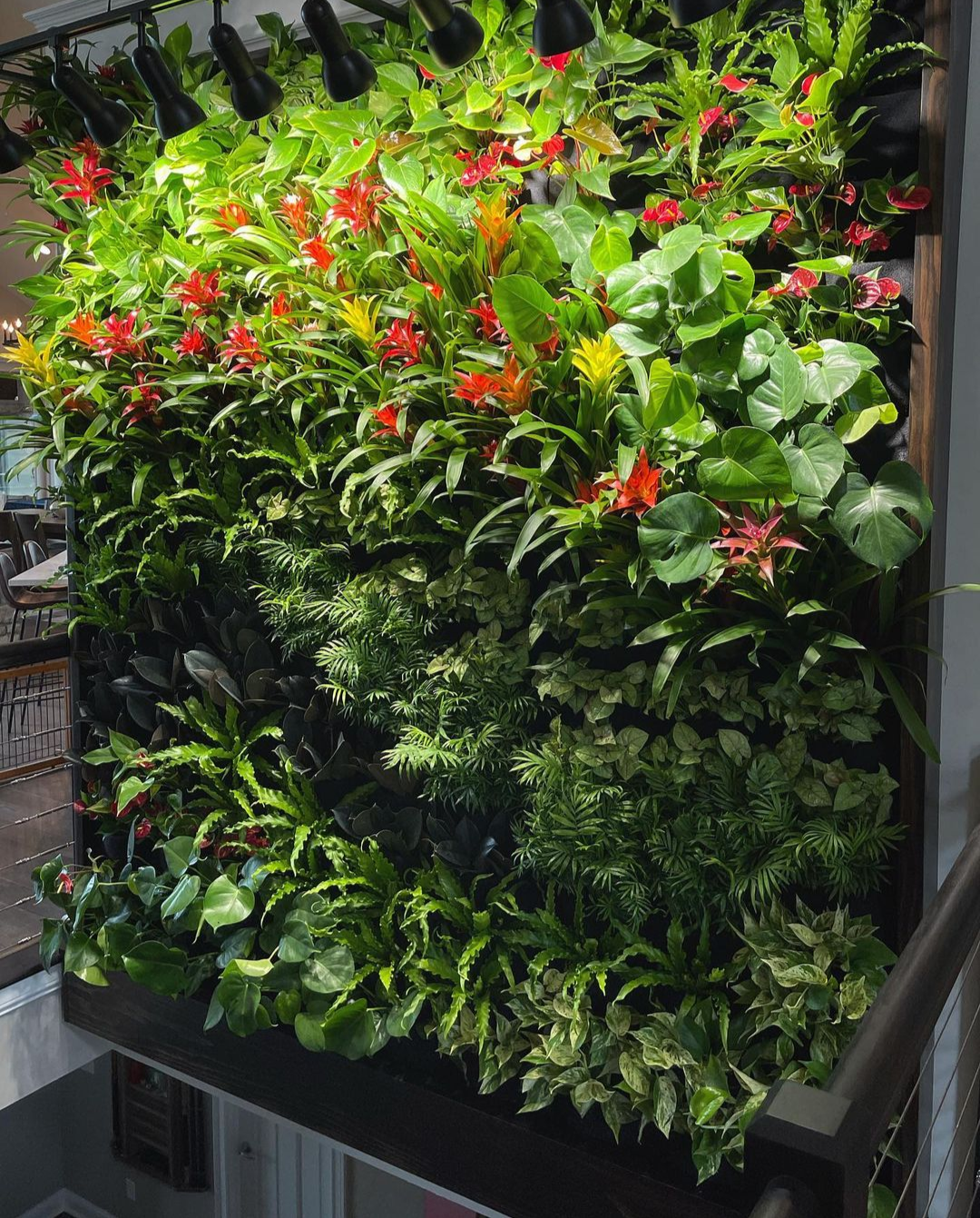 Green Street Design Builds a Tropical Paradise — Plants On Walls