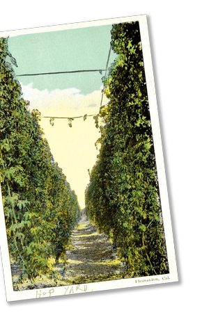 The Hop Yard Alehouse