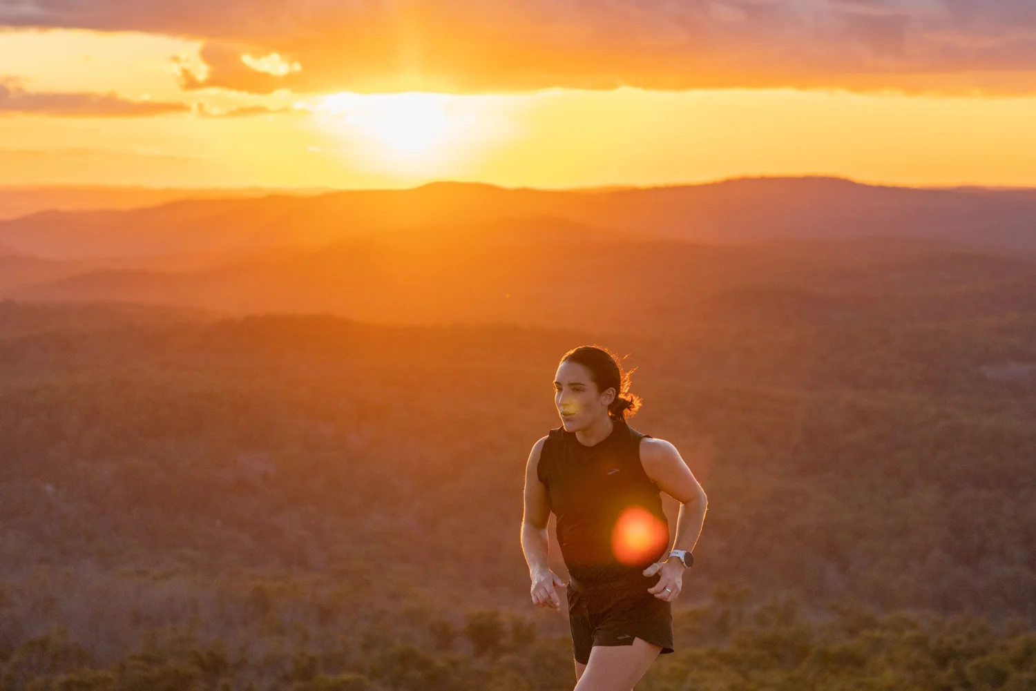 Gallery 2 — Jacqui Bell