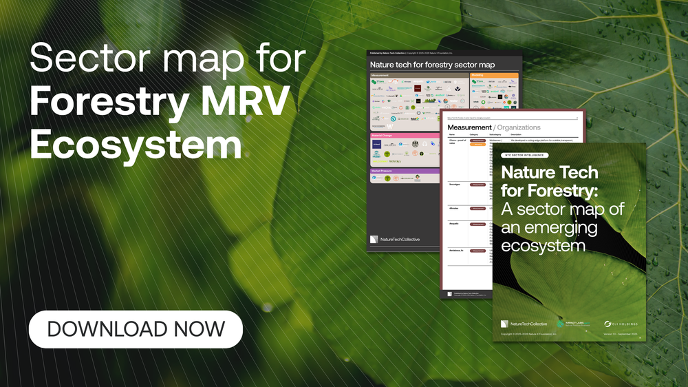 Mapping the Emerging Forestry MRV Ecosystem | Nature Tech Collective