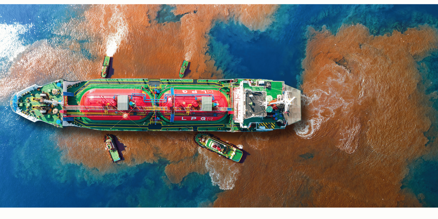 The Open Ocean Project: Using Satellites and AI to Transform Ocean ...