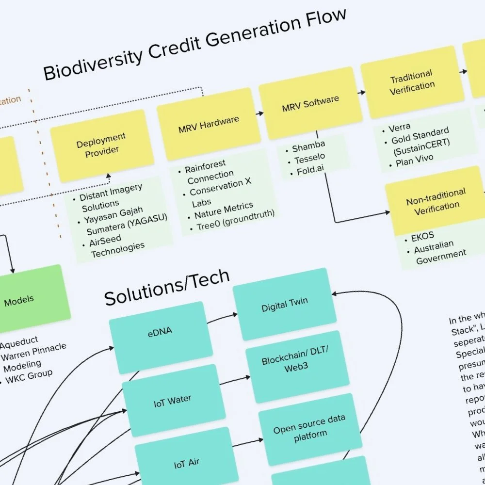 Nature Tech Collective